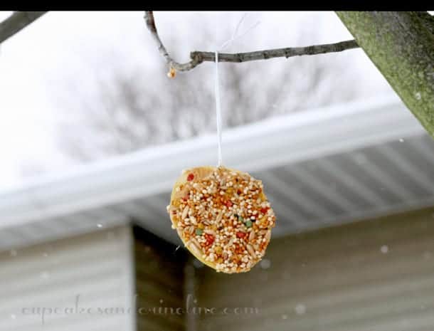 Bird Feeders and Bird Treats to Make with the Kids - Cupcakes & Crinoline