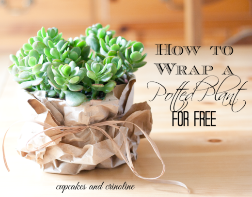 The Elegant, Rustic and Free Way to Wrap Potted Plants - The How-To Home