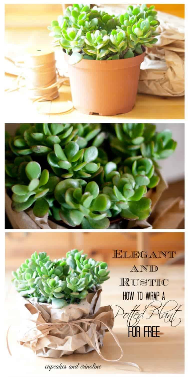 The Elegant, Rustic and Free Way to Wrap Potted Plants - The How-To Home