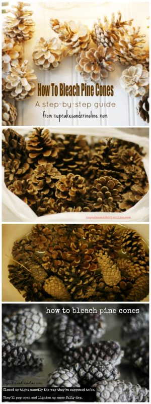 How to Bleach Pine Cones - The How-To Home
