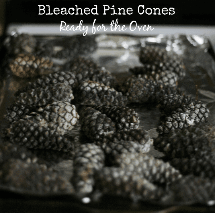 How to Bleach Pine Cones - The How-To Home