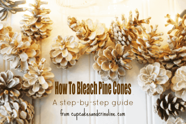 How to Bleach Pine Cones - The How-To Home