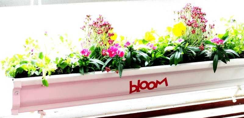 Hanging Gutter Planter - Easy DIY - The How-To Home