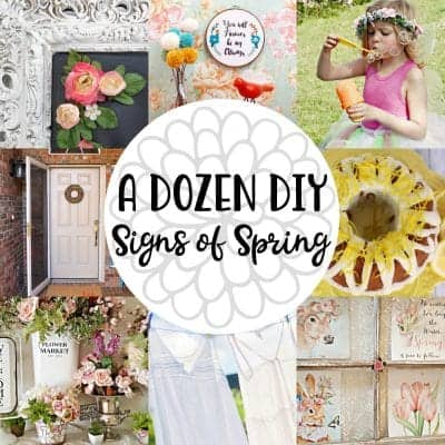 12 DIY Signs of Spring - The How-To Home