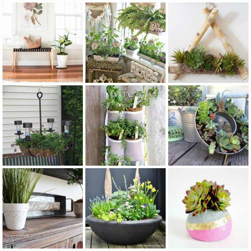 9 Pretty and Creative Plant Ideas - The How-To Home
