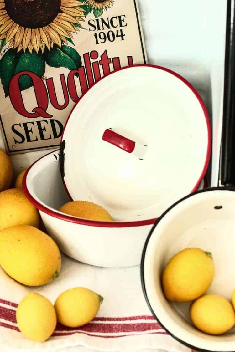 Enamelware Decorating Ideas - The How-To Home