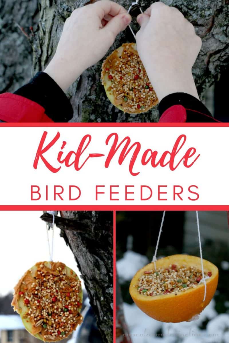 Bird Feeders and Bird Treats to Make with the Kids - Cupcakes & Crinoline