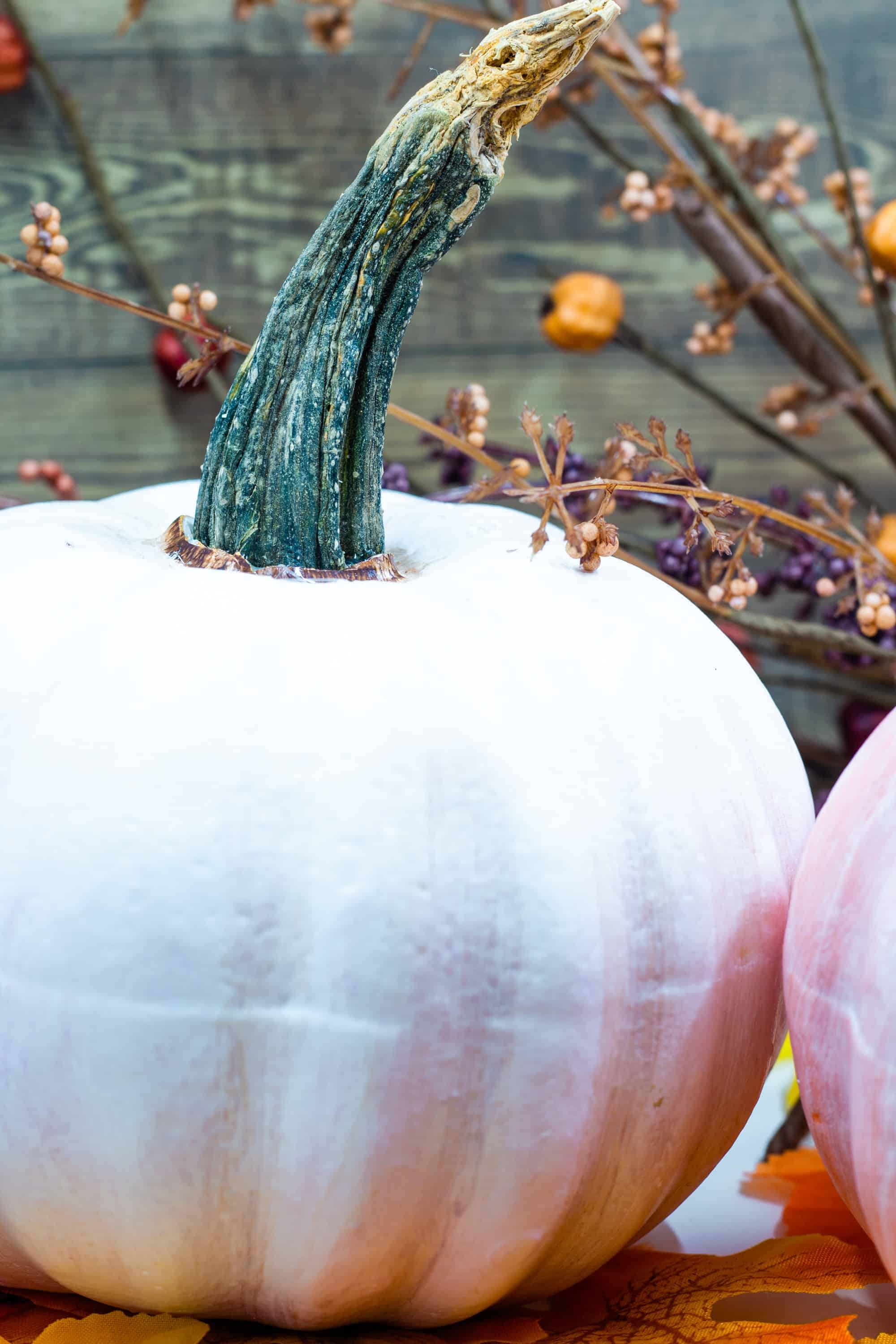 Painted Dollar Store Pumpkins - The How-To Home