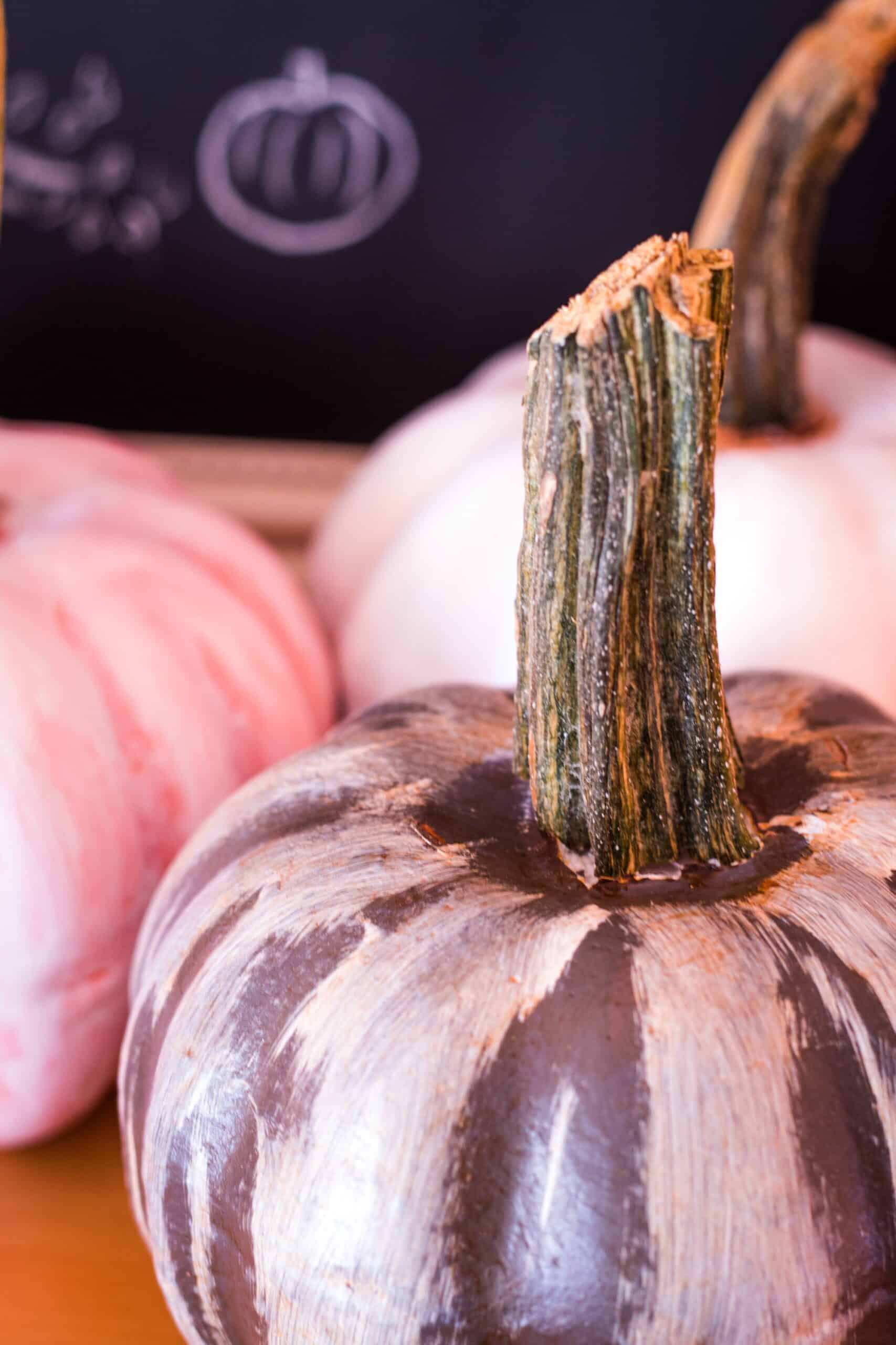 Painted Dollar Store Pumpkins - The How-To Home