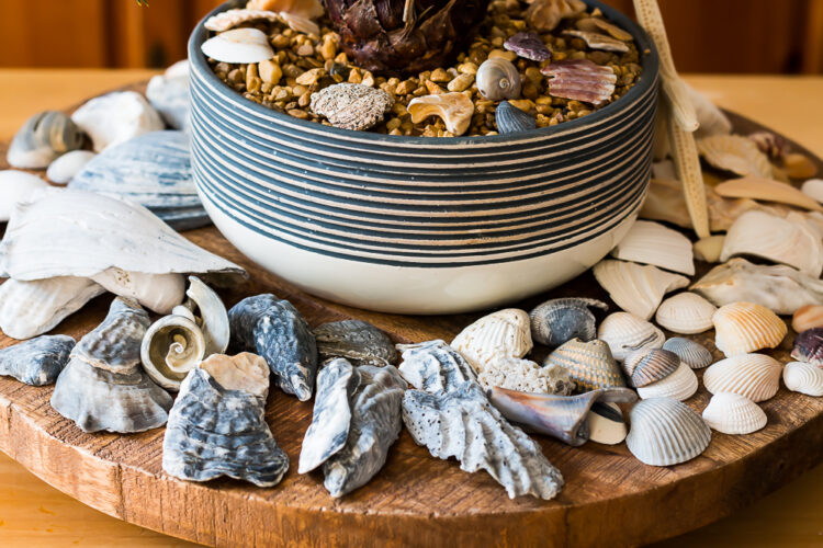 How to Make a Simple Seashell Centerpiece - The How-To Home