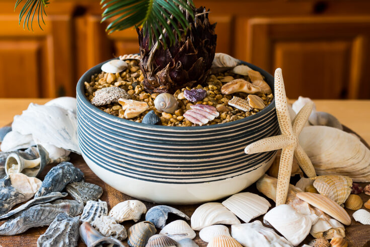 How to Make a Simple Seashell Centerpiece - The How-To Home