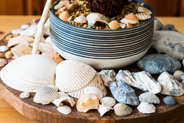 How to Make a Simple Seashell Centerpiece - The How-To Home