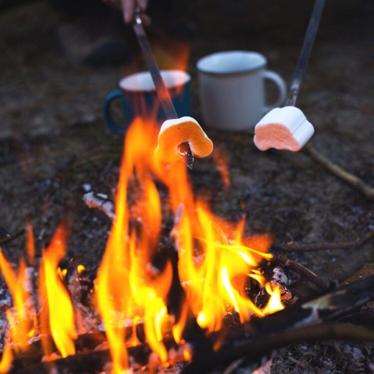 Cozy Fall Activities for Families - The How-To Home