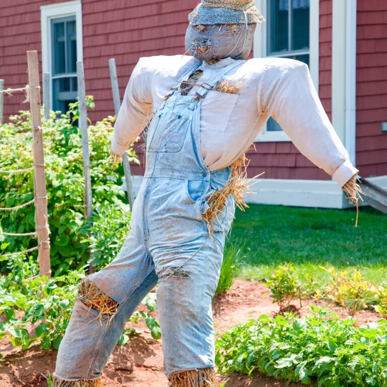 Cozy Fall Activities for Families - The How-To Home