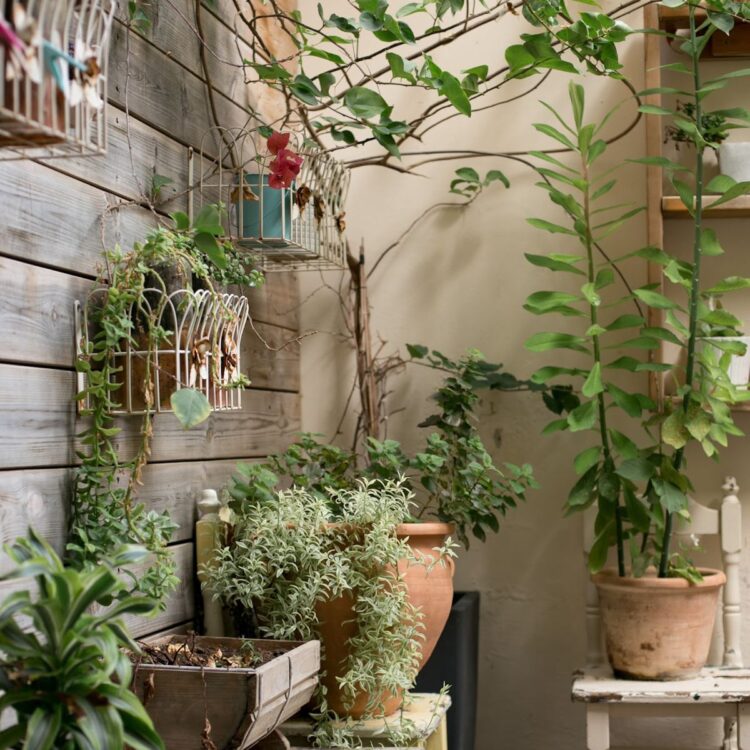 How To Build The Perfect Atrium - The How-To Home