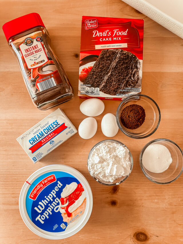 Easy Mocha Cake Recipe from a Cake Mix - The How-To Home