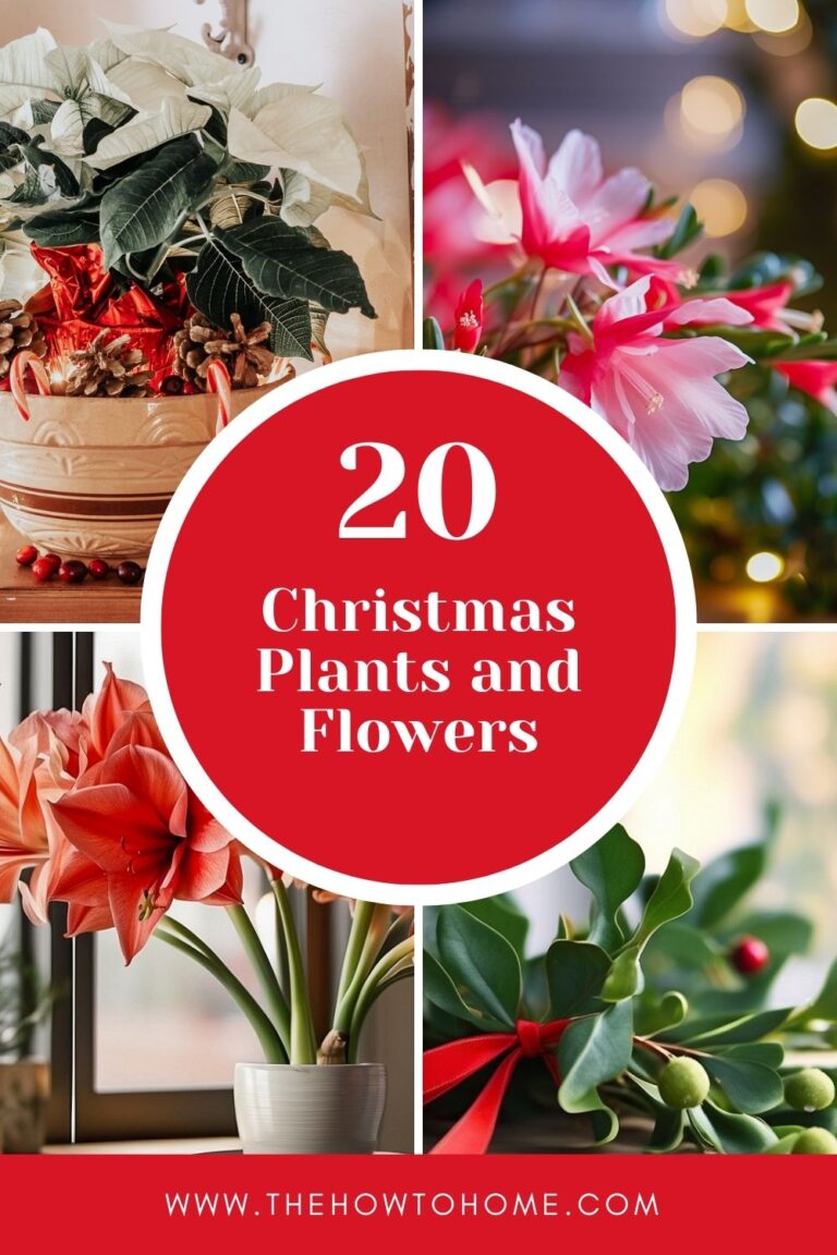 20 Best Christmas Plants and Flowers for Winter This Year - The How-To Home