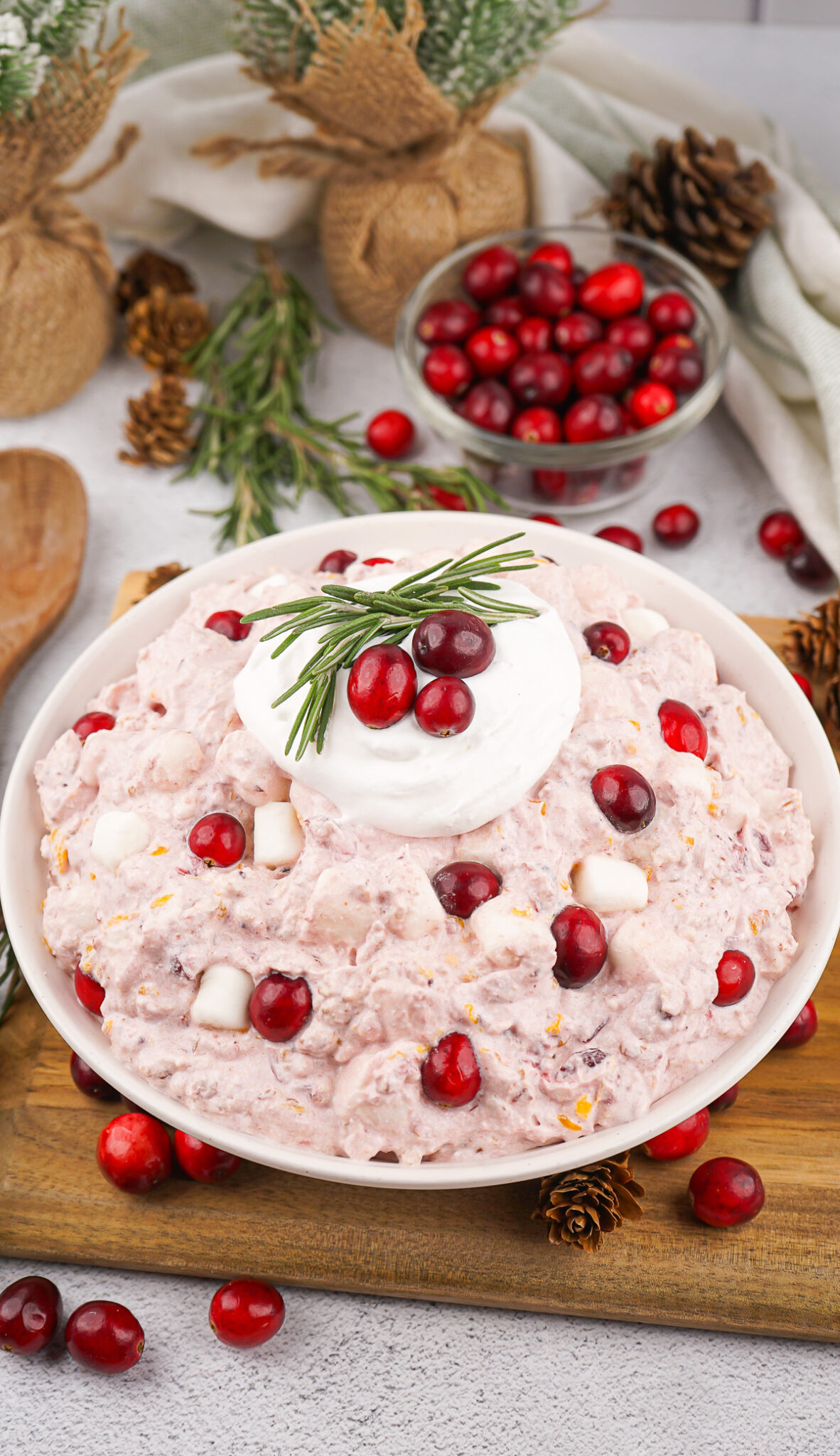 Cranberry Fluff Salad Recipe: A Sweet and Tangy Holiday Dish - The How ...