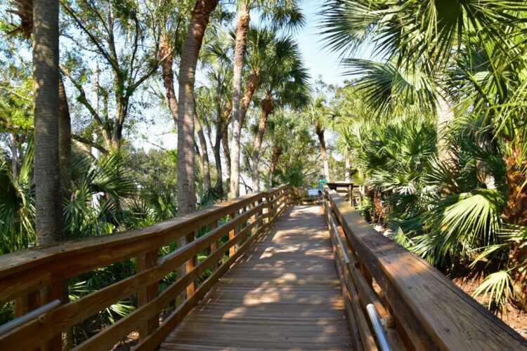 Discovering Delray Beach: Unveiling the Premier Neighborhoods for Every ...